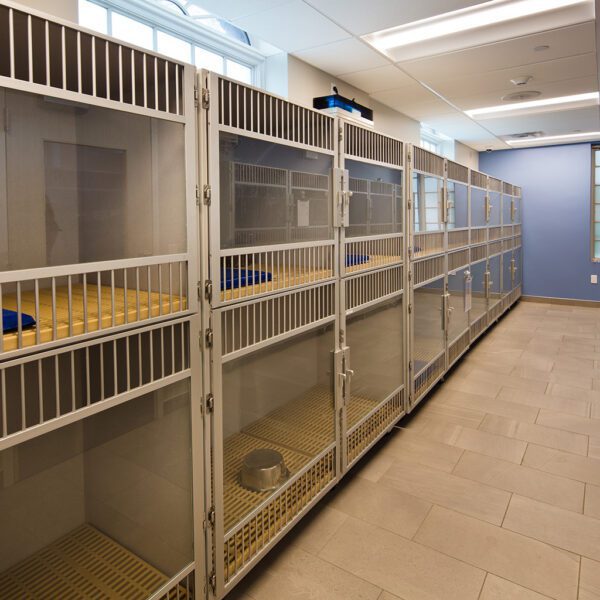 K9 Resorts | Build to Suit